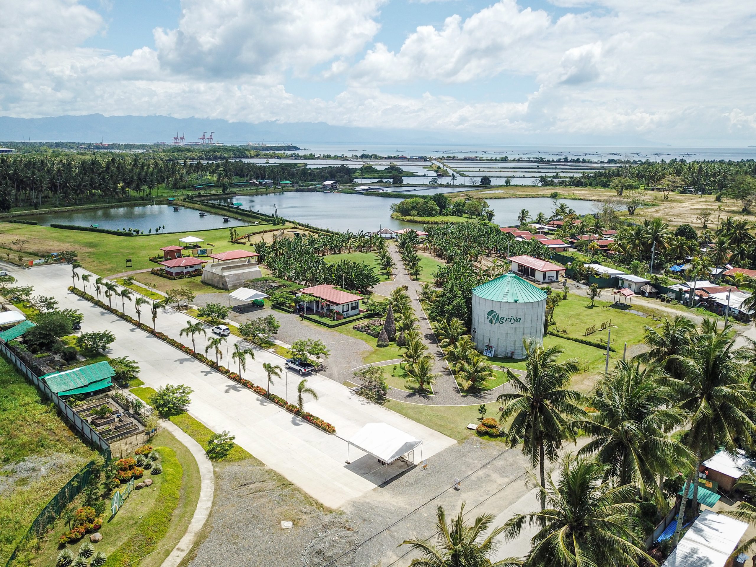 Agriya Agrotourism Real Estate Development | Damosa Land